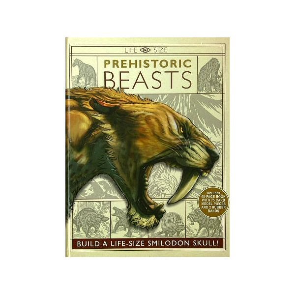 Prehistoric Beasts: Build A Life-size Smilodon Skull | The Craft Hive ...